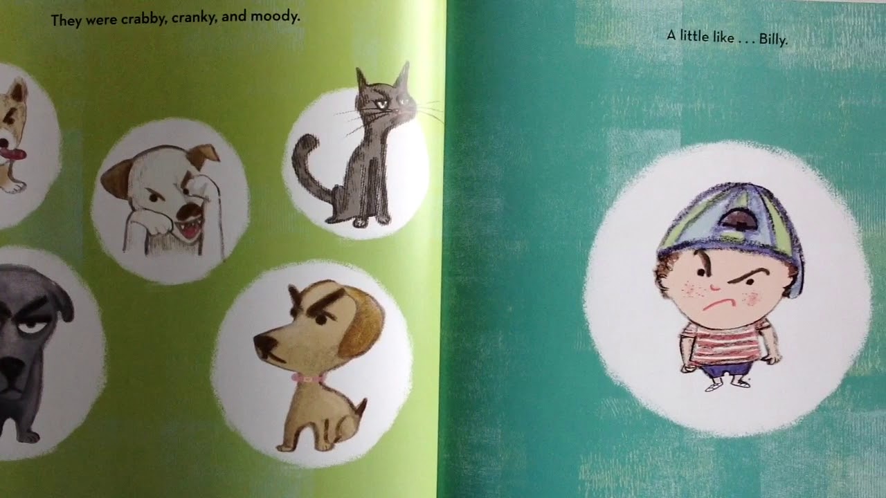 The Grumpy Pets - YouTube