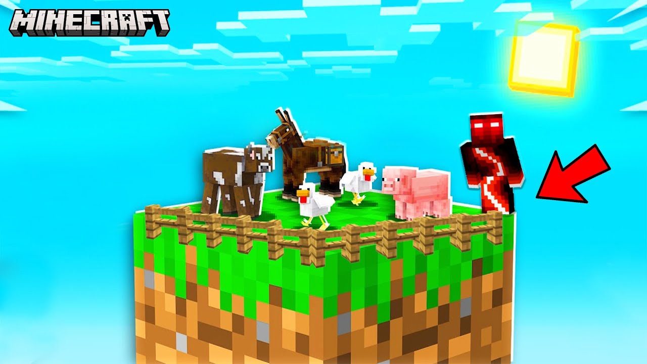 I Made Animal Farm In One Block Minecraft - YouTube