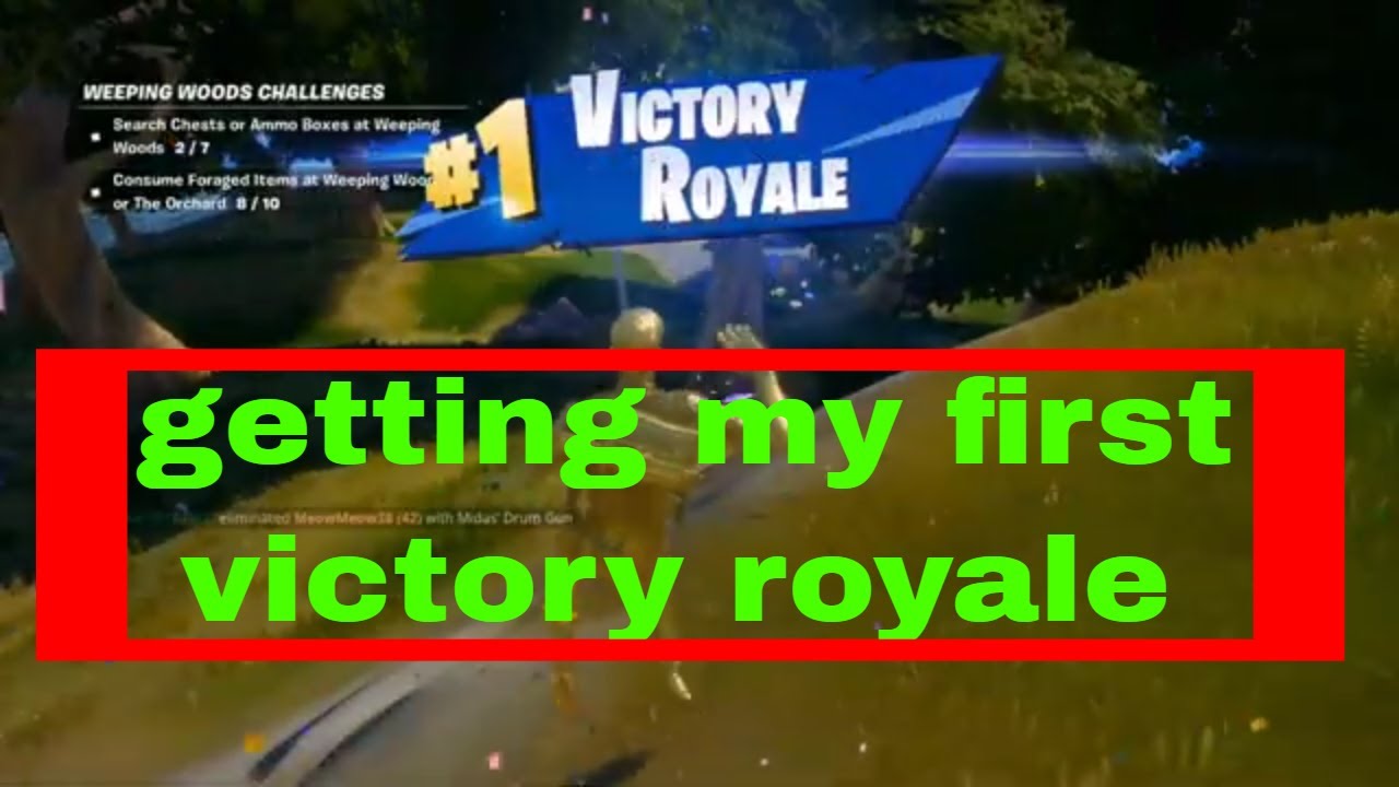 Getting my First Victory Royale in Fortnite - YouTube