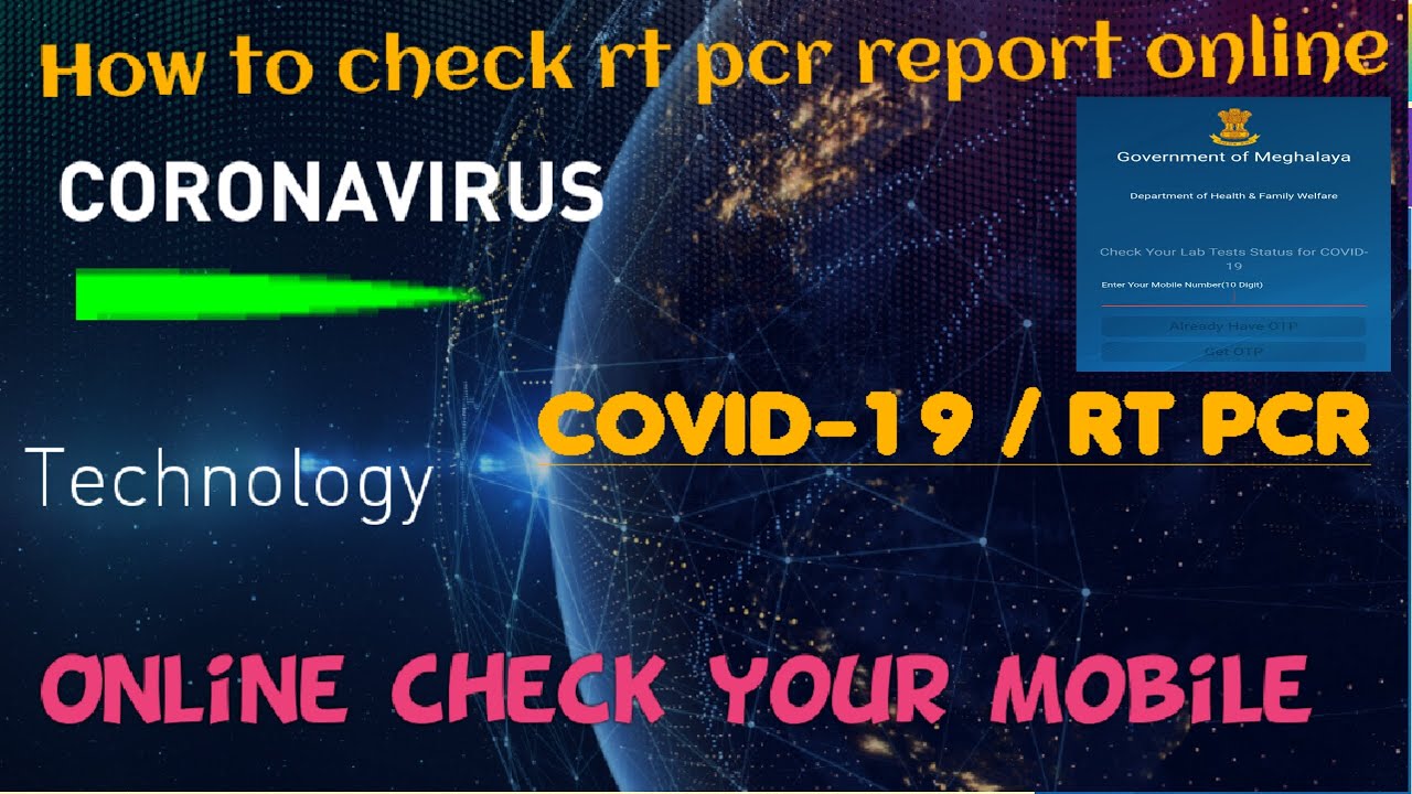 How to check rt pcr report online | Check Covid 19 test report online ...