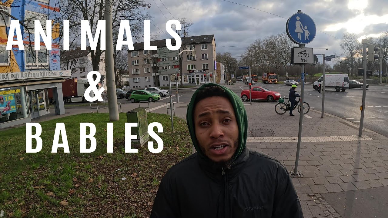 Your Energy Goes Beyond The Mind Animals And Babies Will Sense Your ...