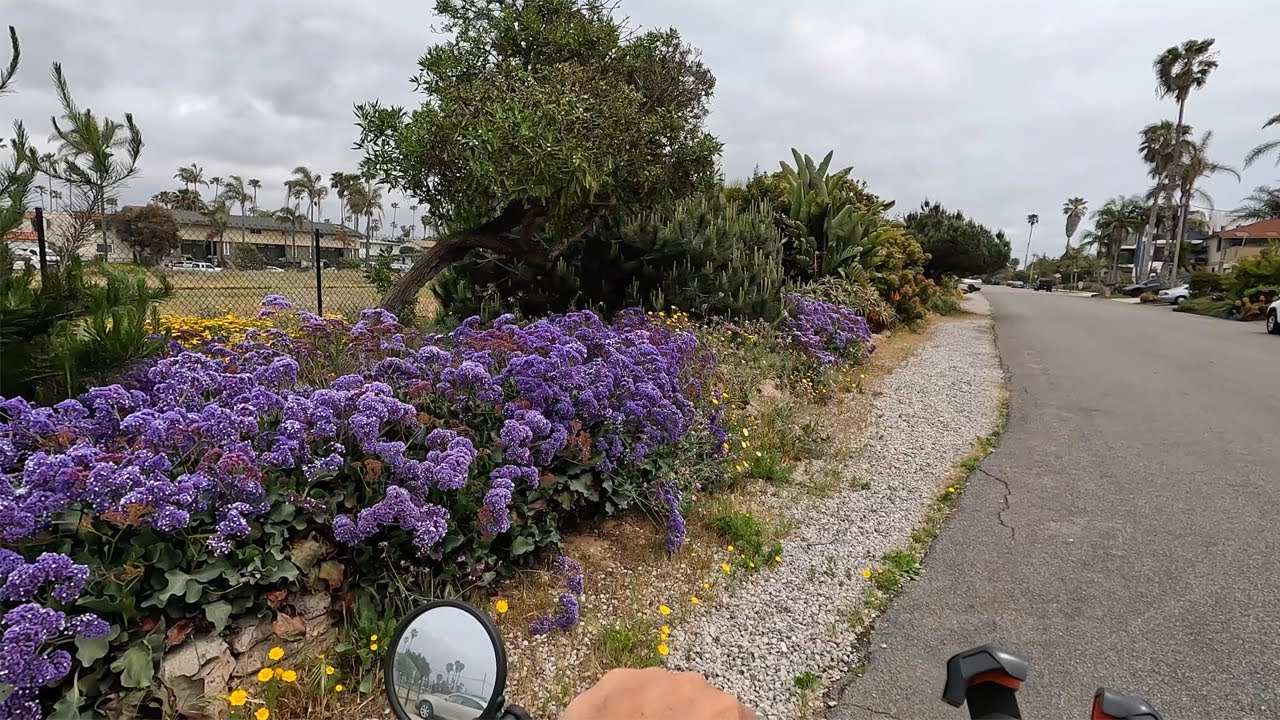 Oceanside flower ride, p3 - YouTube