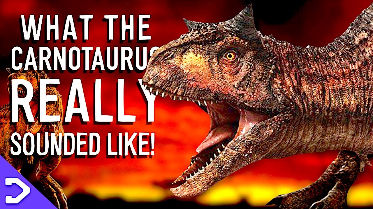 What Did The Carnotaurus REALLY Sound Like? - YouTube
