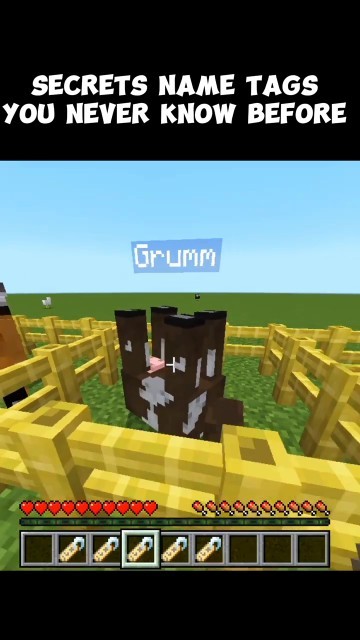 Minecraft Most secret name tags 📛 😮 #minecraft #shortsfeed #gaming # ...