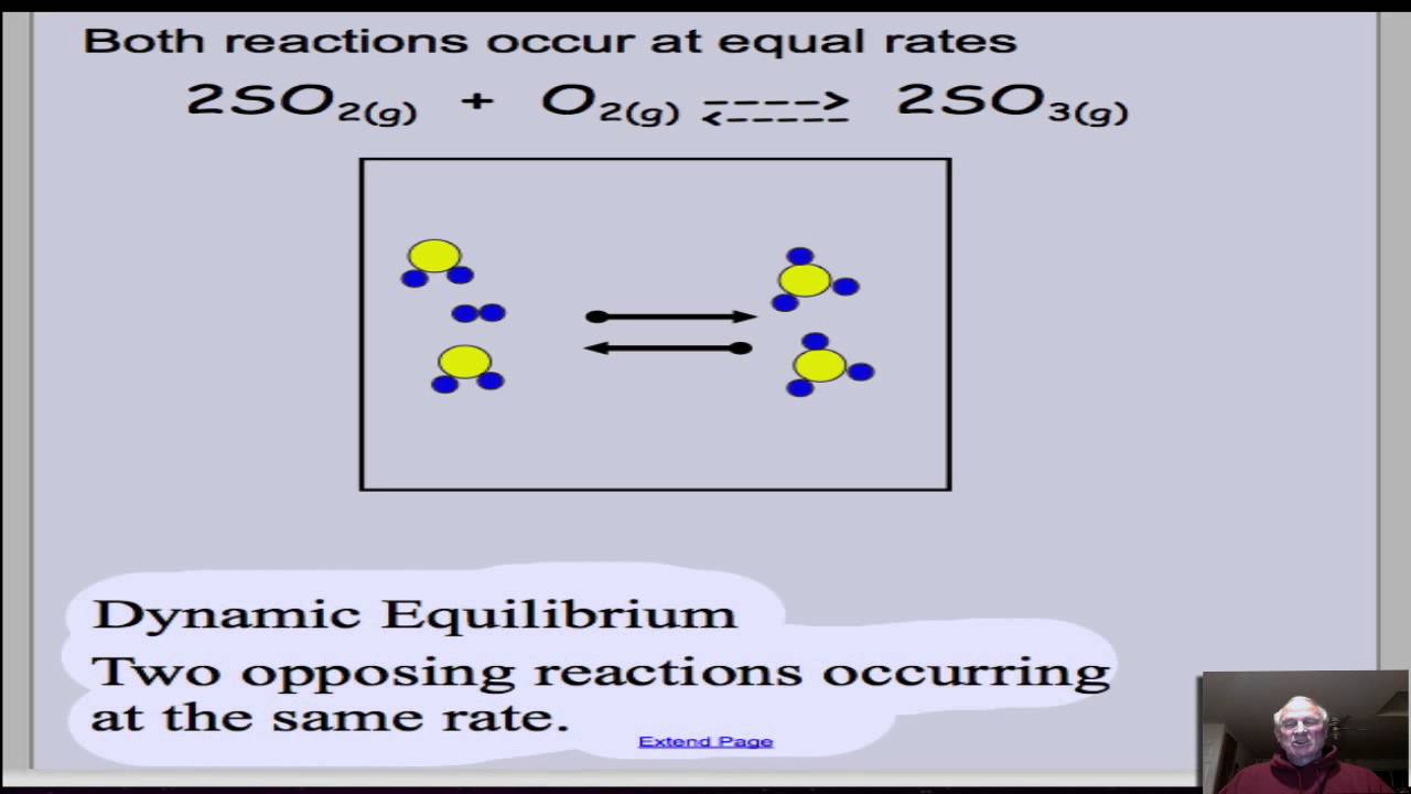 Dynamic Equilibrium YouTube dynamic-equilibrium-youtube