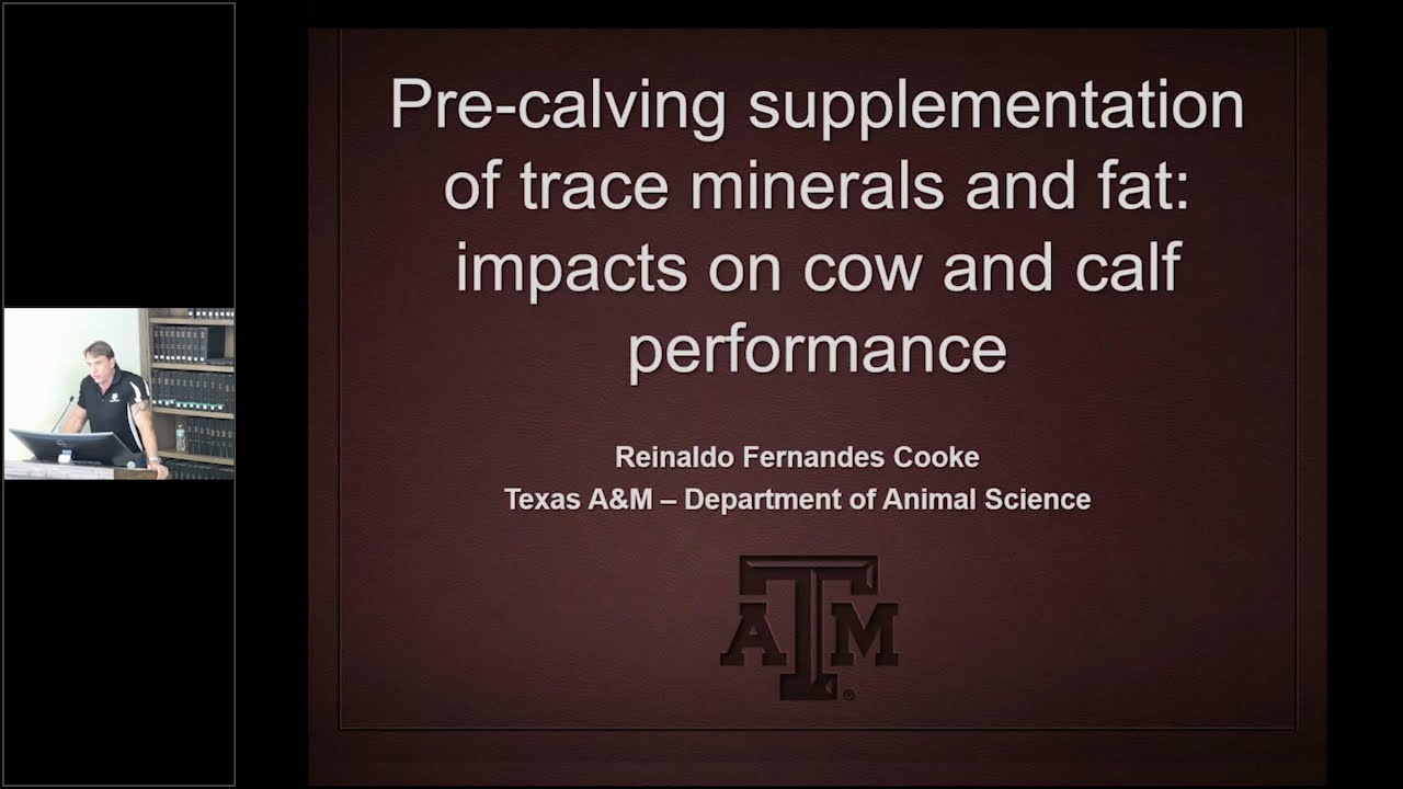 Precalving supplementation of trace minerals and fat: Impacts - Dr ...