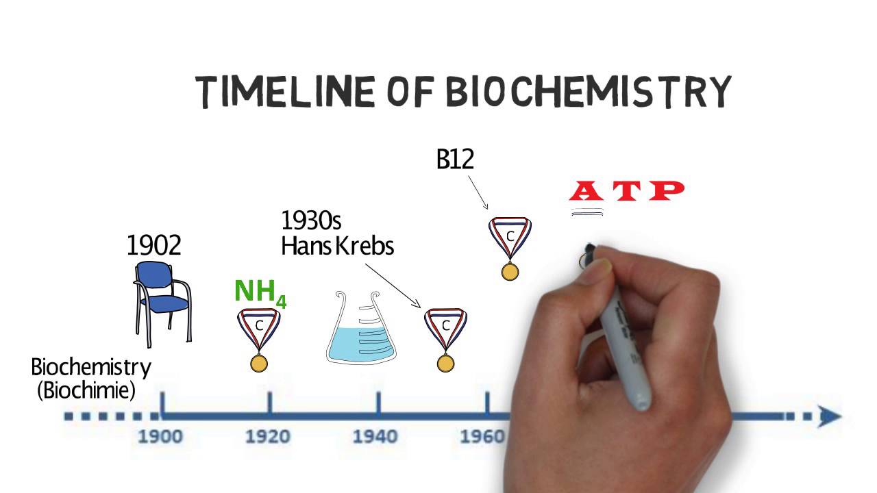 Biochemistry Timeline + narration 1 - YouTube