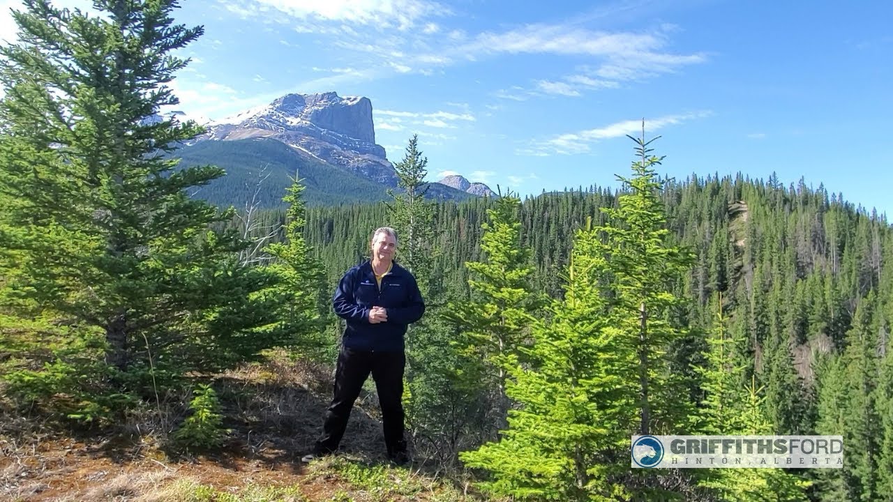 Sunshine, bluebird skies and Mountains | Pocahontas | Jasper National ...