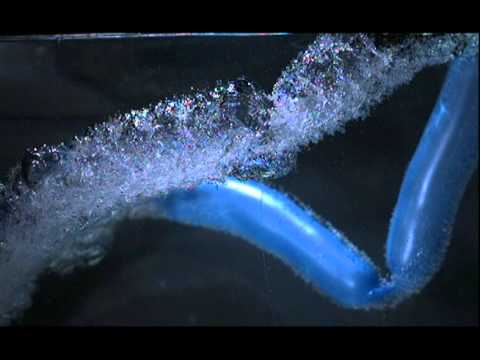 High Speed Balloon Pop (underwater): Christian-Dold - YouTube