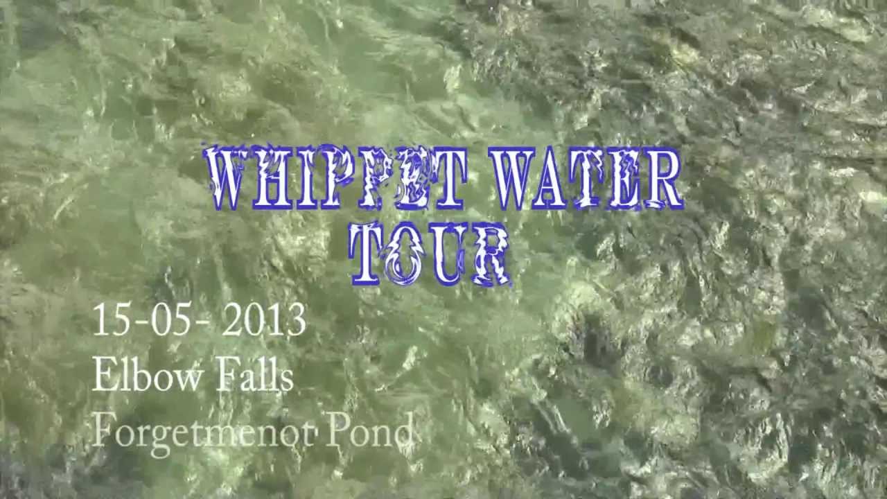 Whippet Water Tour - Elbow Falls - YouTube