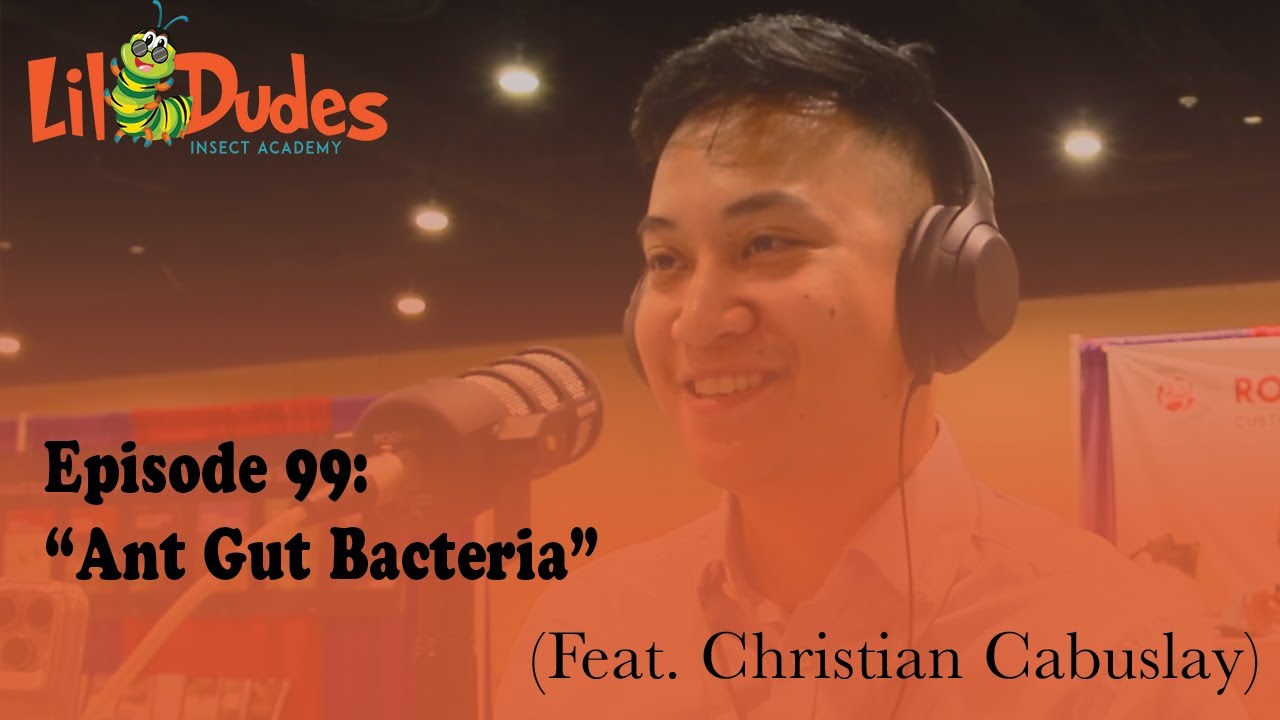 99. Ant Gut Bacteria (Feat. Christian Cabuslay) - YouTube