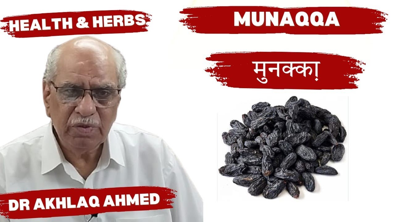 MUNAKKA /MUNAQQA/ (Dried Grapes) A well known Domestic Medicine. - YouTube