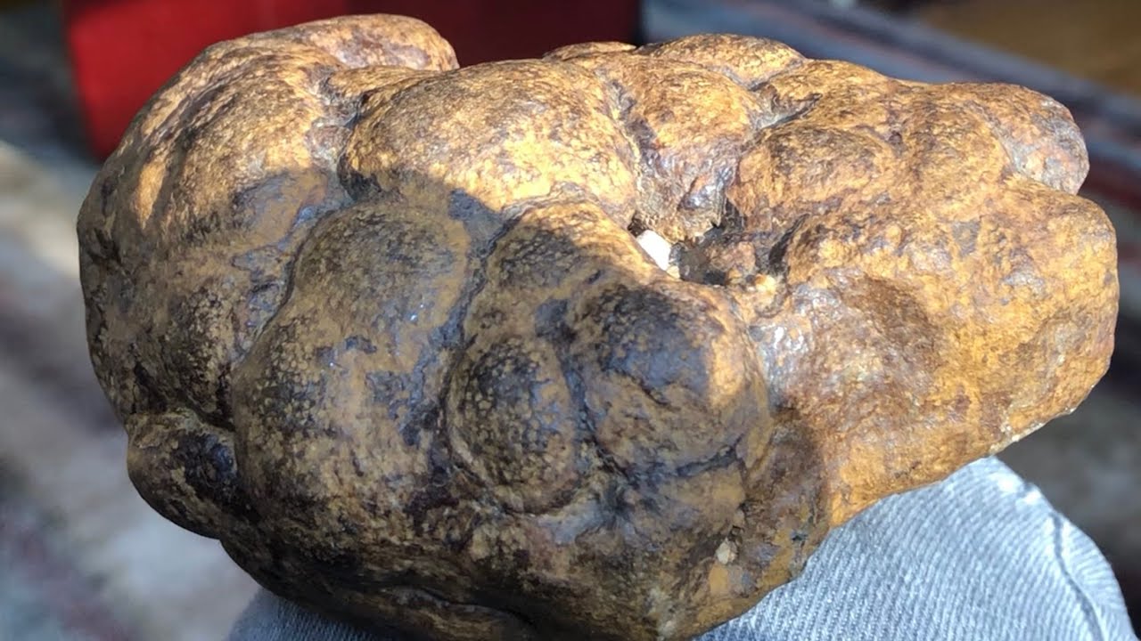 Very old poop. Coprolite From Arcadia Valley Missouri area - YouTube