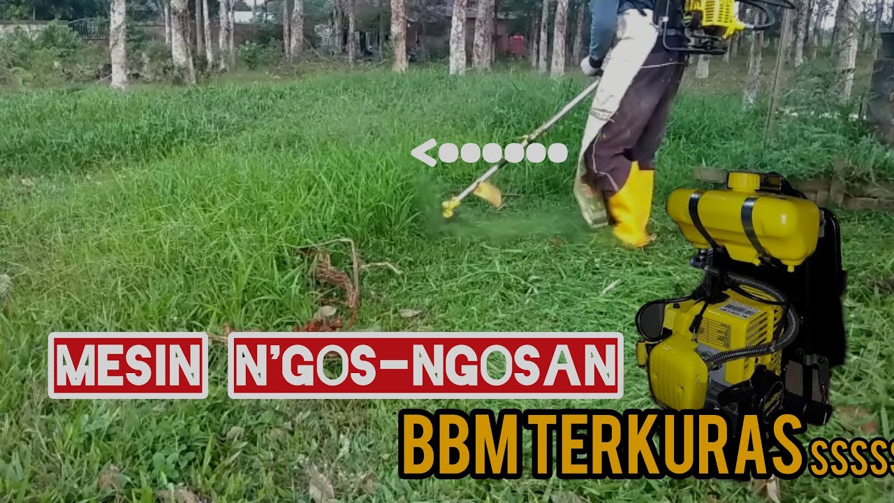 Potong rumput senar sekeliling rumah part 12 - YouTube