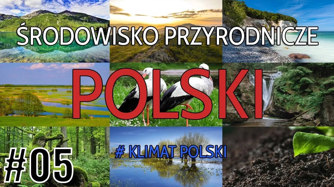 #05 Klimat Polski (GEOGRAFIA POLSKI) - YouTube