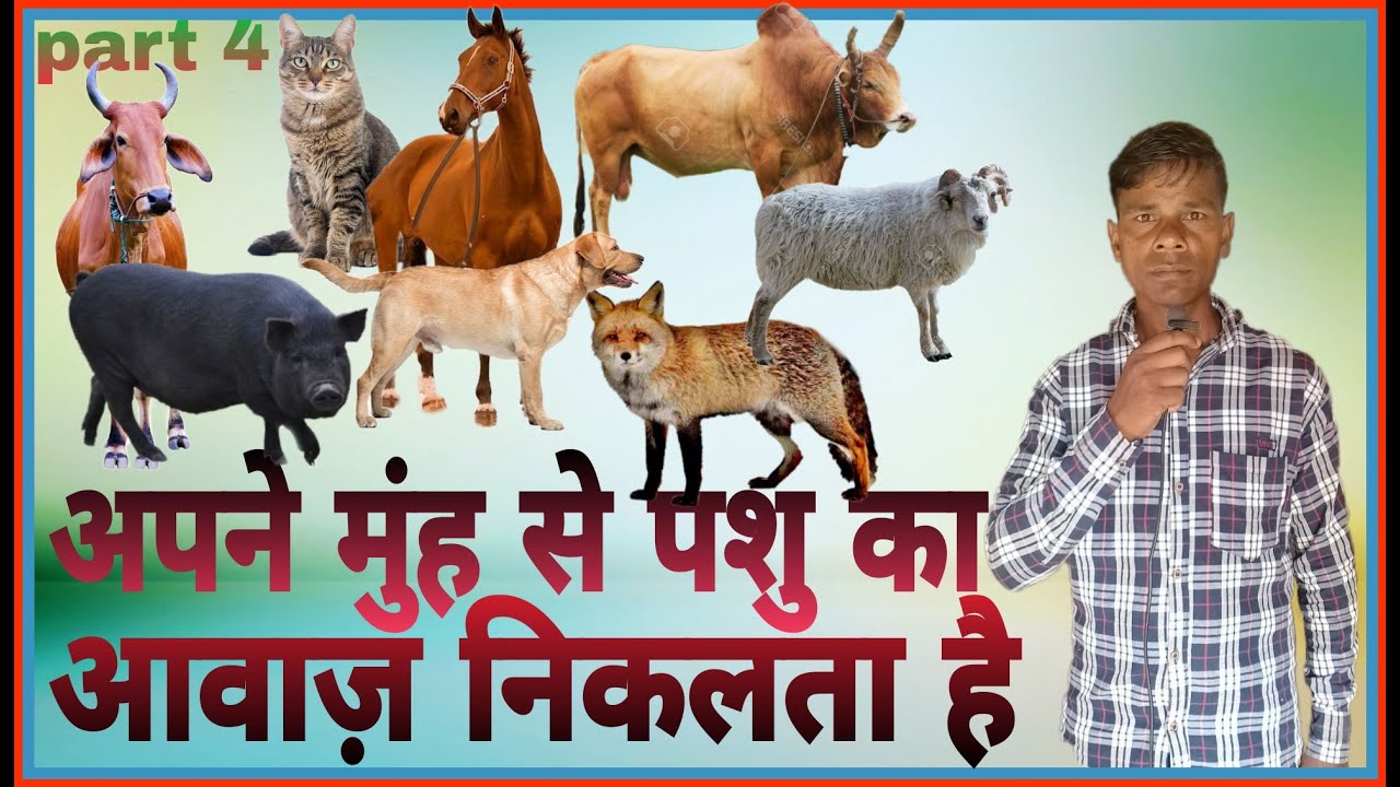 All animals and birds sounds muh se pashu pakshiyo ka aawaz Somay ...