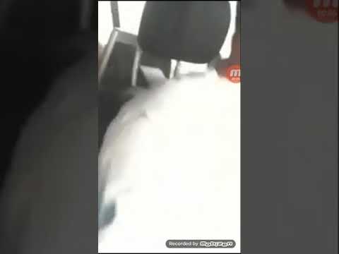 Meghann Cooke Goes Crazy In Car - YouTube