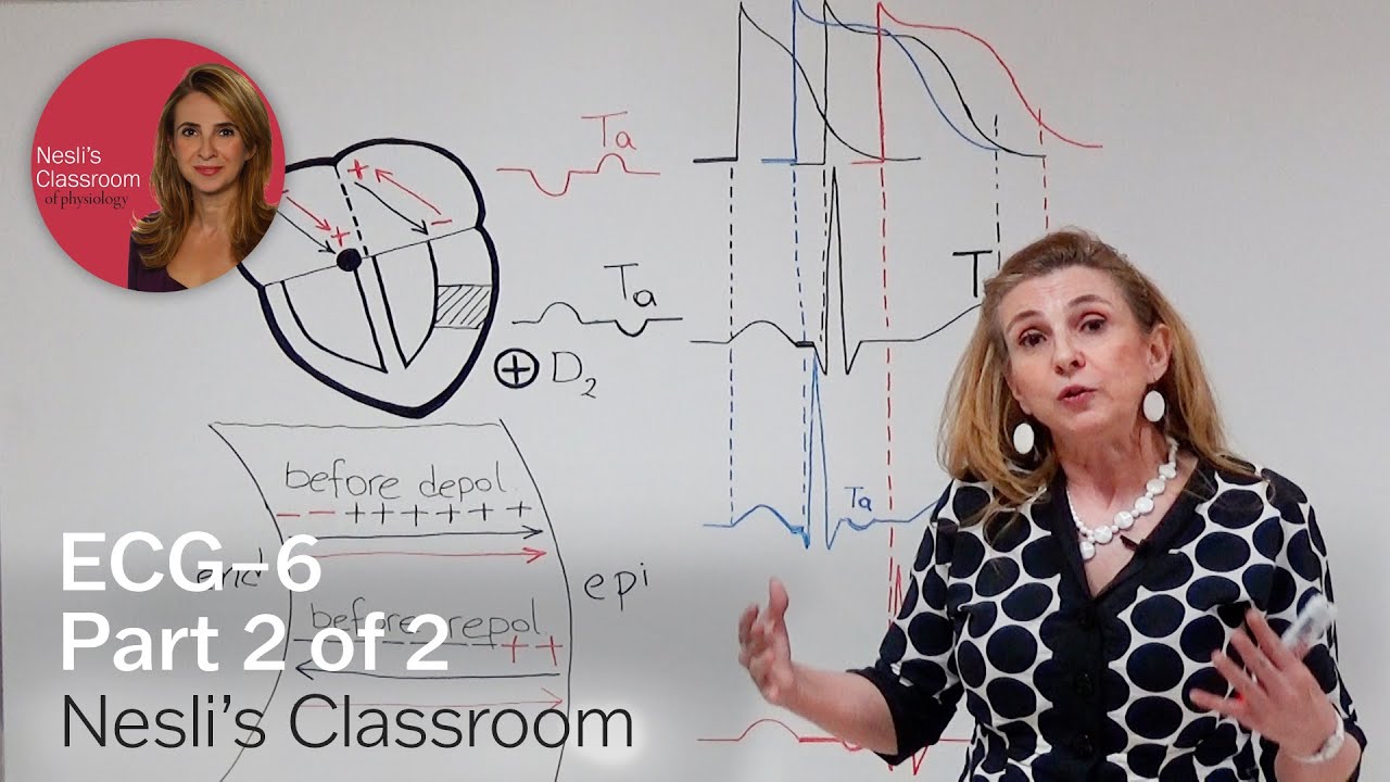 EKG-6 Part 2 of 2 Ventricular T wave - YouTube