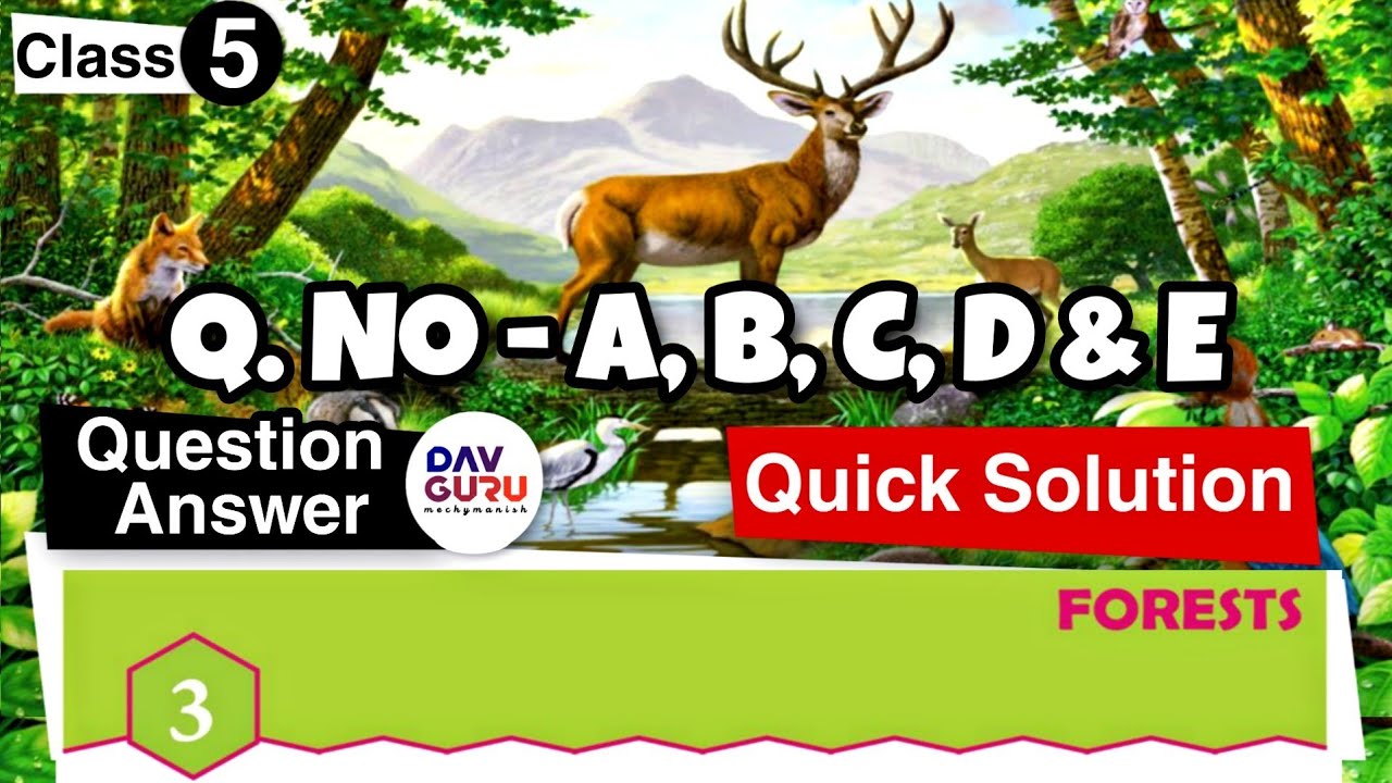 Chapter 3 Forests DAV Class 5 Science Question Answer YouTube chapter-3-forests-dav-class-5-science-question-answer-youtube