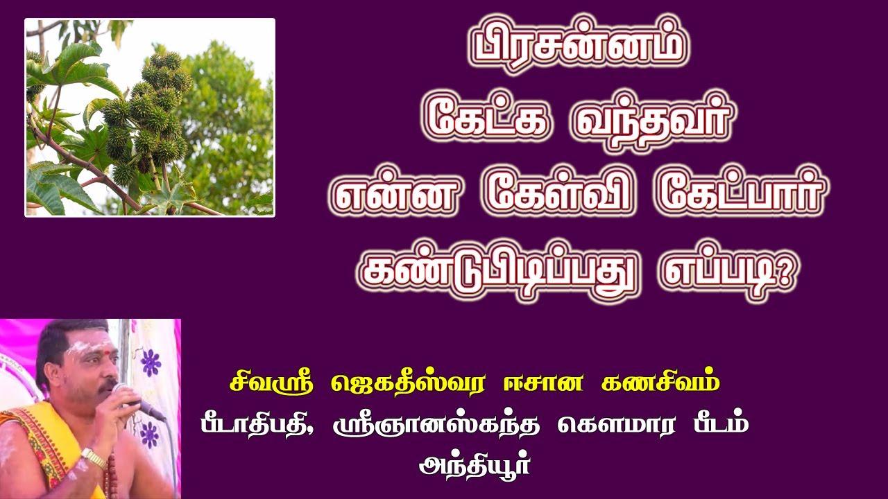 ஆமணக்கு பிரசன்னத்தில் பலன் சொல்லும் ரகசியம் | Amanakku pirasannathil ...