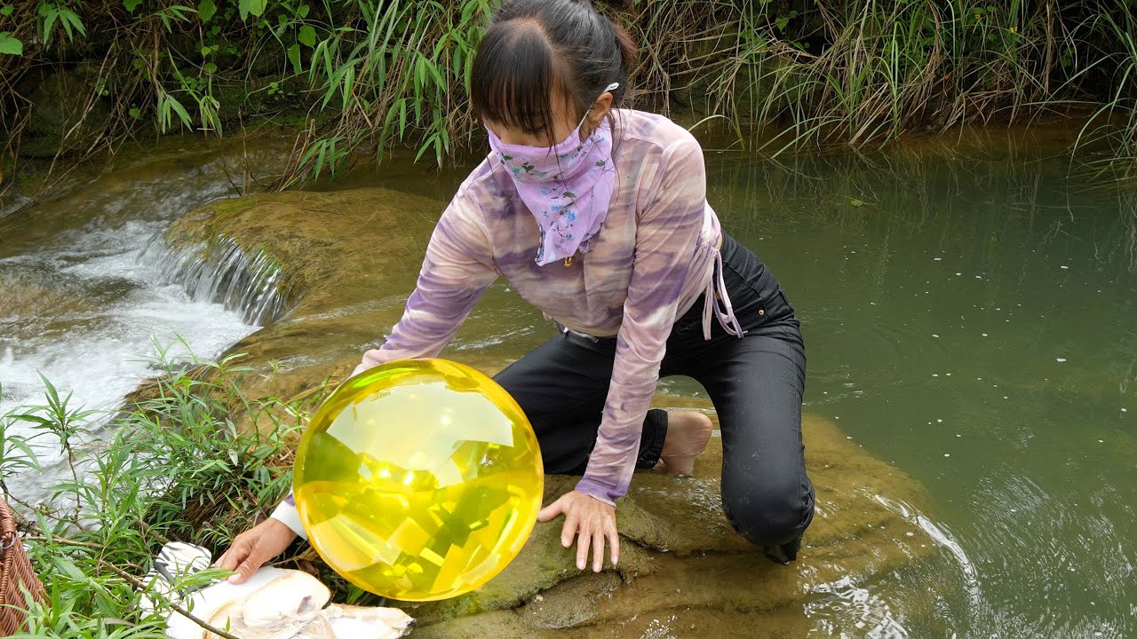 Golden Hour! The girl caught a giant clam in the water and unexpectedly ...