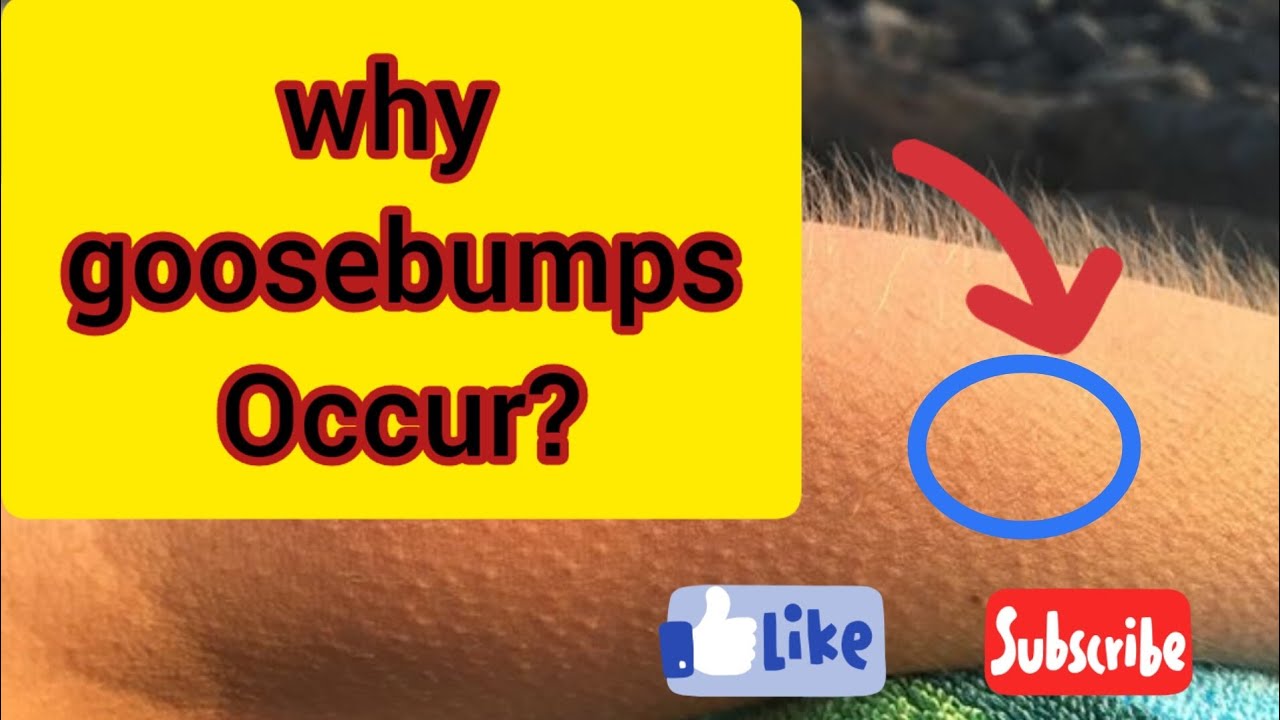 why do you get goosebumps? How do they occur? - YouTube