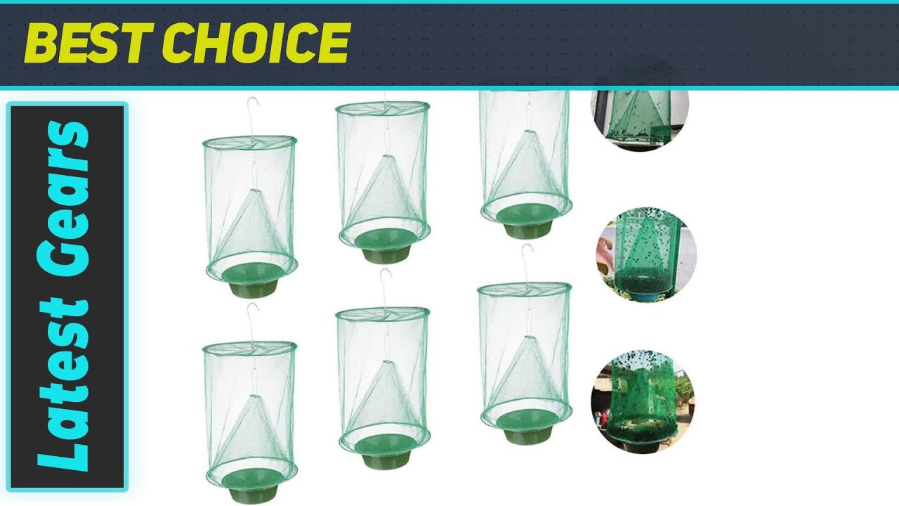 Sutify Fly Trap: Most Effective Trap Ever? 6-Pack Test - YouTube