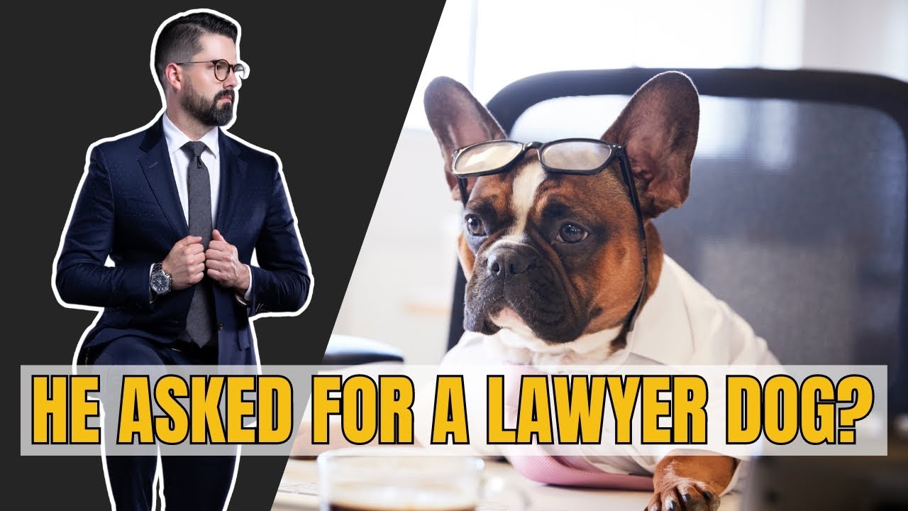 They Thought He Asked For a Lawyer Dog? Only in Louisiana... - YouTube