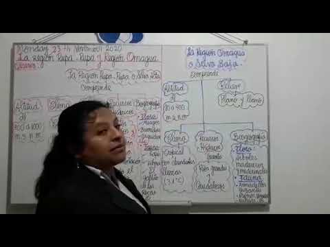 LA REGIÓN RUPA RUPA Y REGIÓN OMAGUA - YouTube