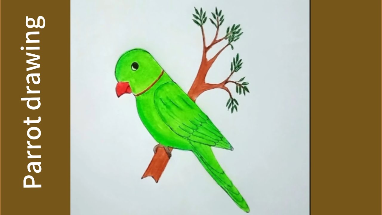 Bird drawing/সহজে টিয়া পাখি আঁকা/How to draw a parrot #sketch #birds # ...