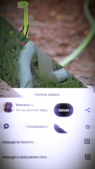 #Snakes#Edit - YouTube