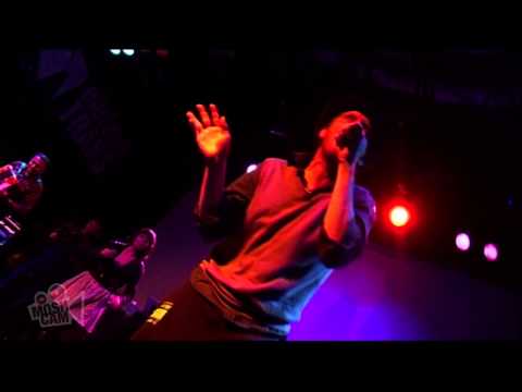 The Herd - Freedom Samba (Live in Sydney) | Moshcam