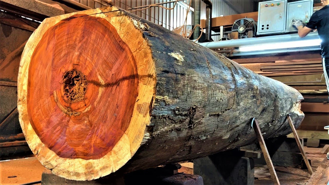 Amazing Sawmill Wood Cutting - Red Wood Cutting Machine With Unique And ...