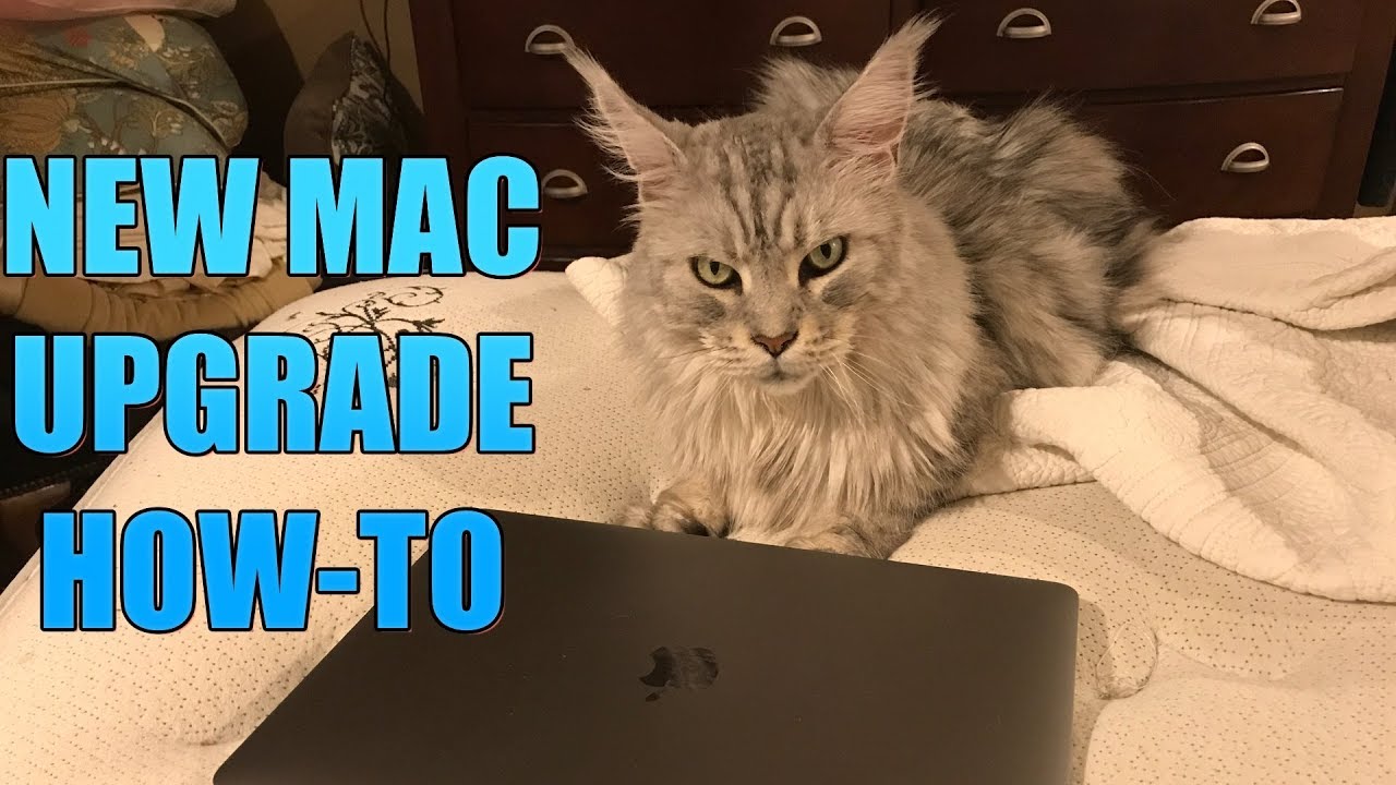 How To Move Files To New Mac Migration Assistant Tutorial YouTube how-to-move-files-to-new-mac-migration-assistant-tutorial-youtube