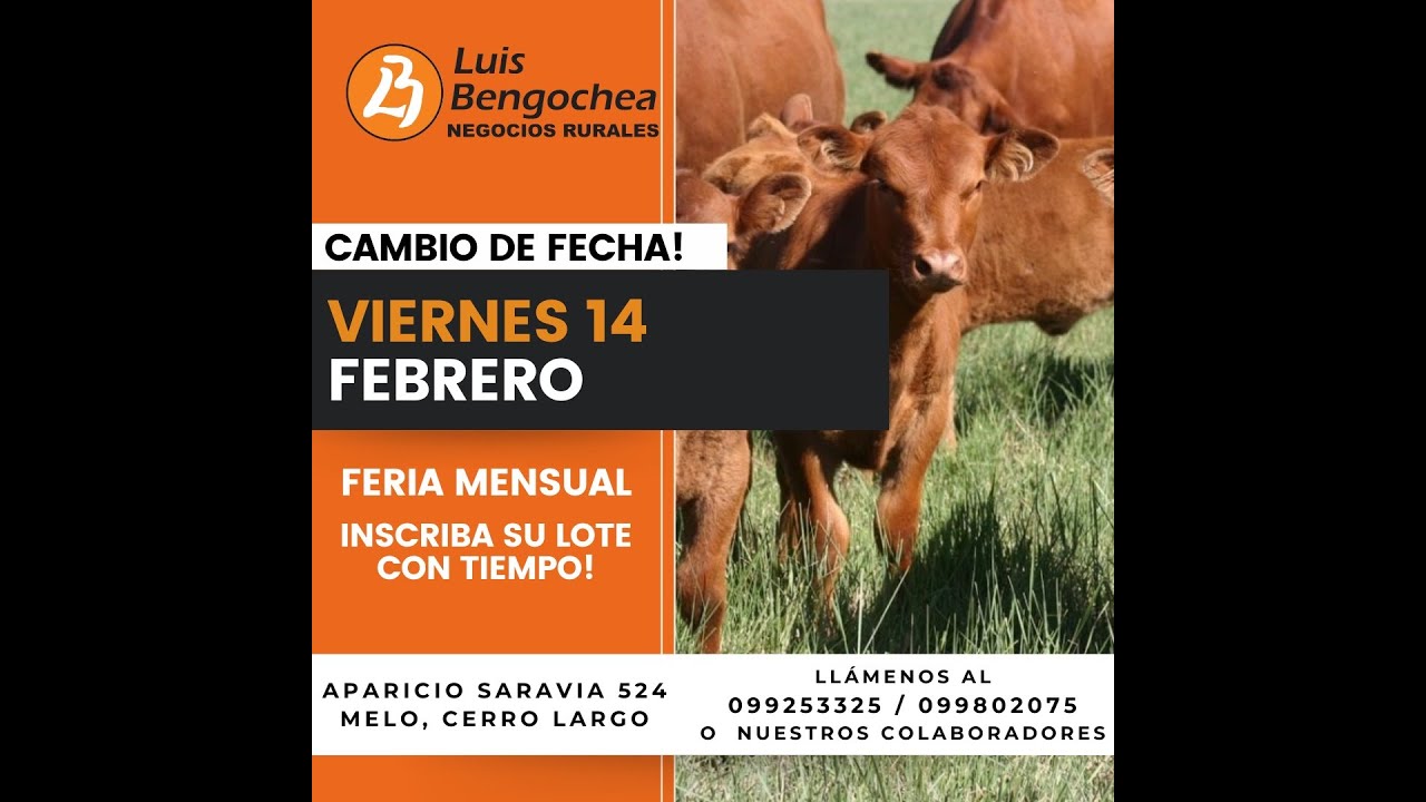 14/2/2025 Local Conventos - Luis A Bengochea SRL - Escritorio Alori y ...