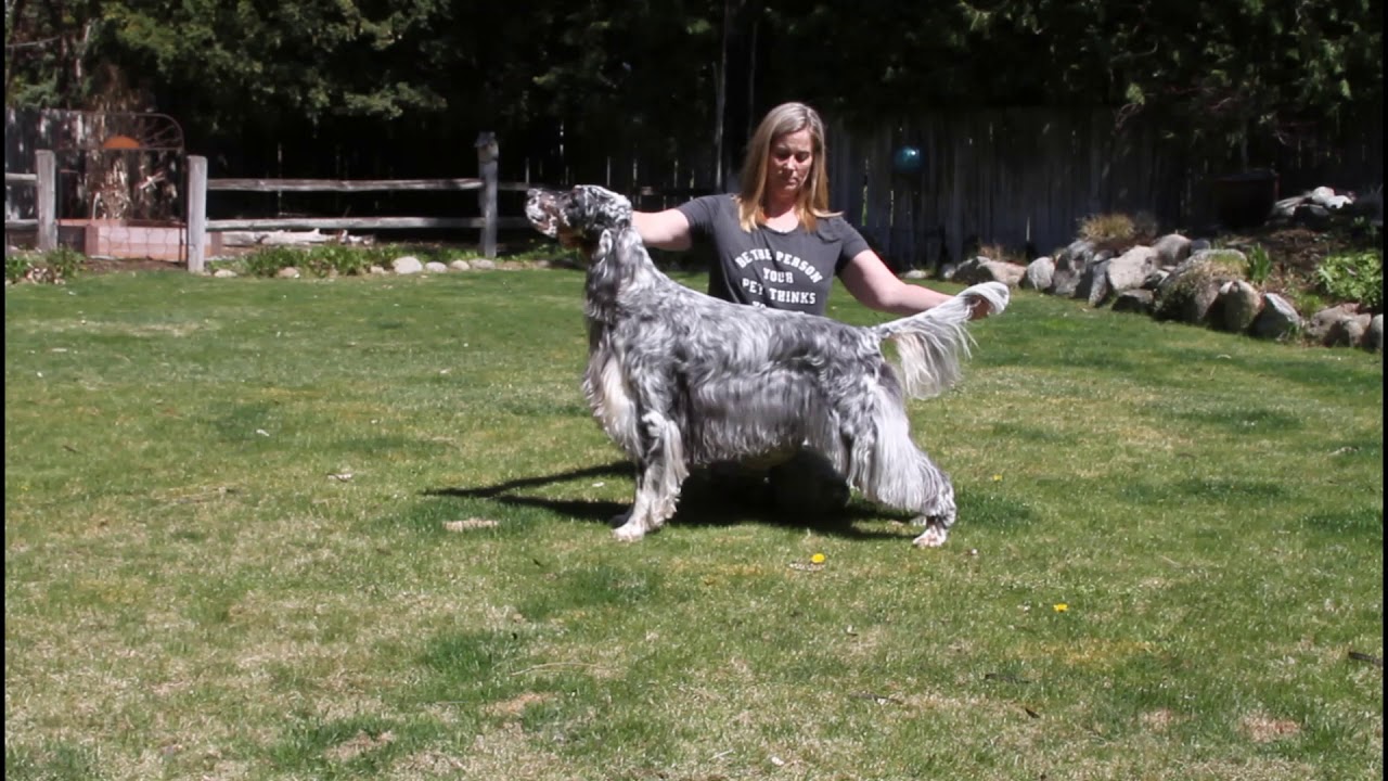 Handling Tip Tuesday Hand Stacking - YouTube