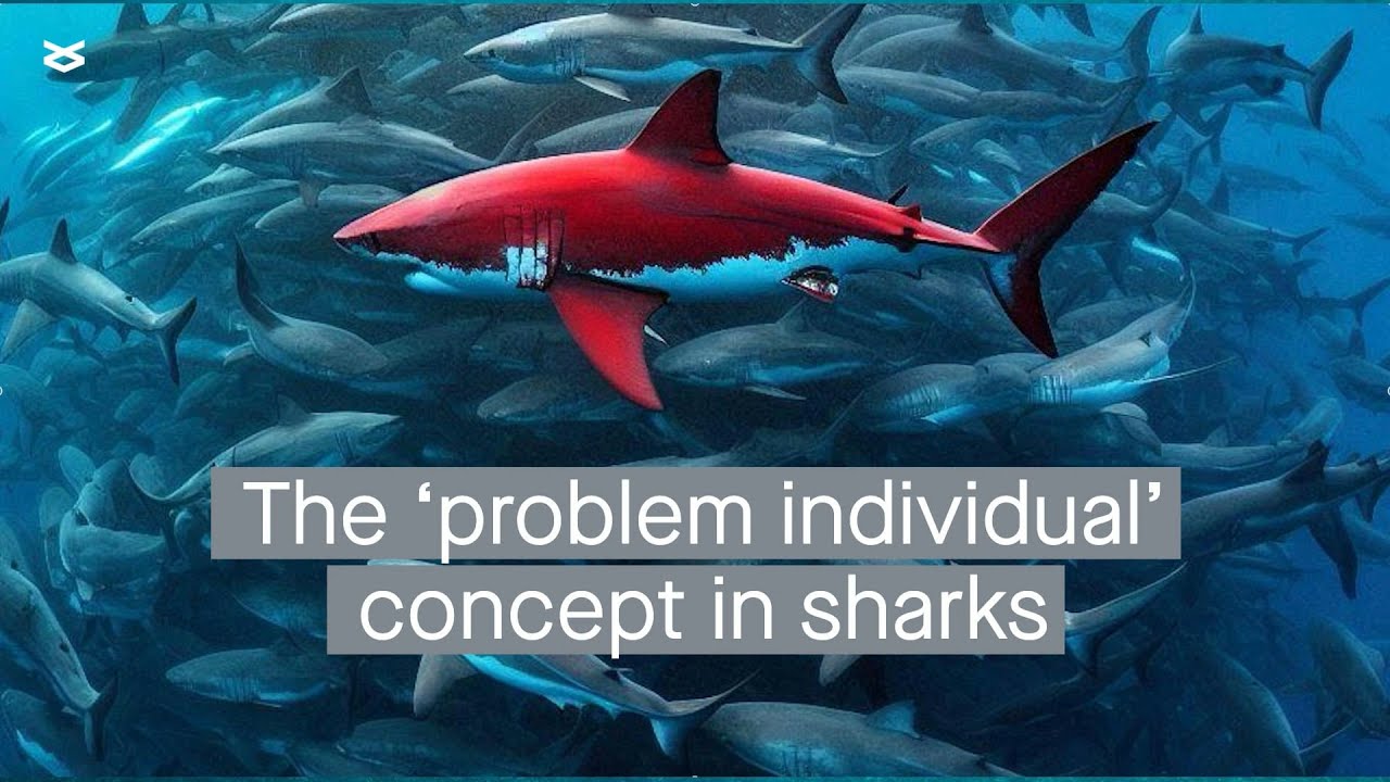 Genetic and photographic evidence supports the “problem individual ...