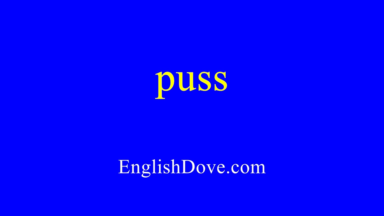 How to pronounce puss in American English. - YouTube