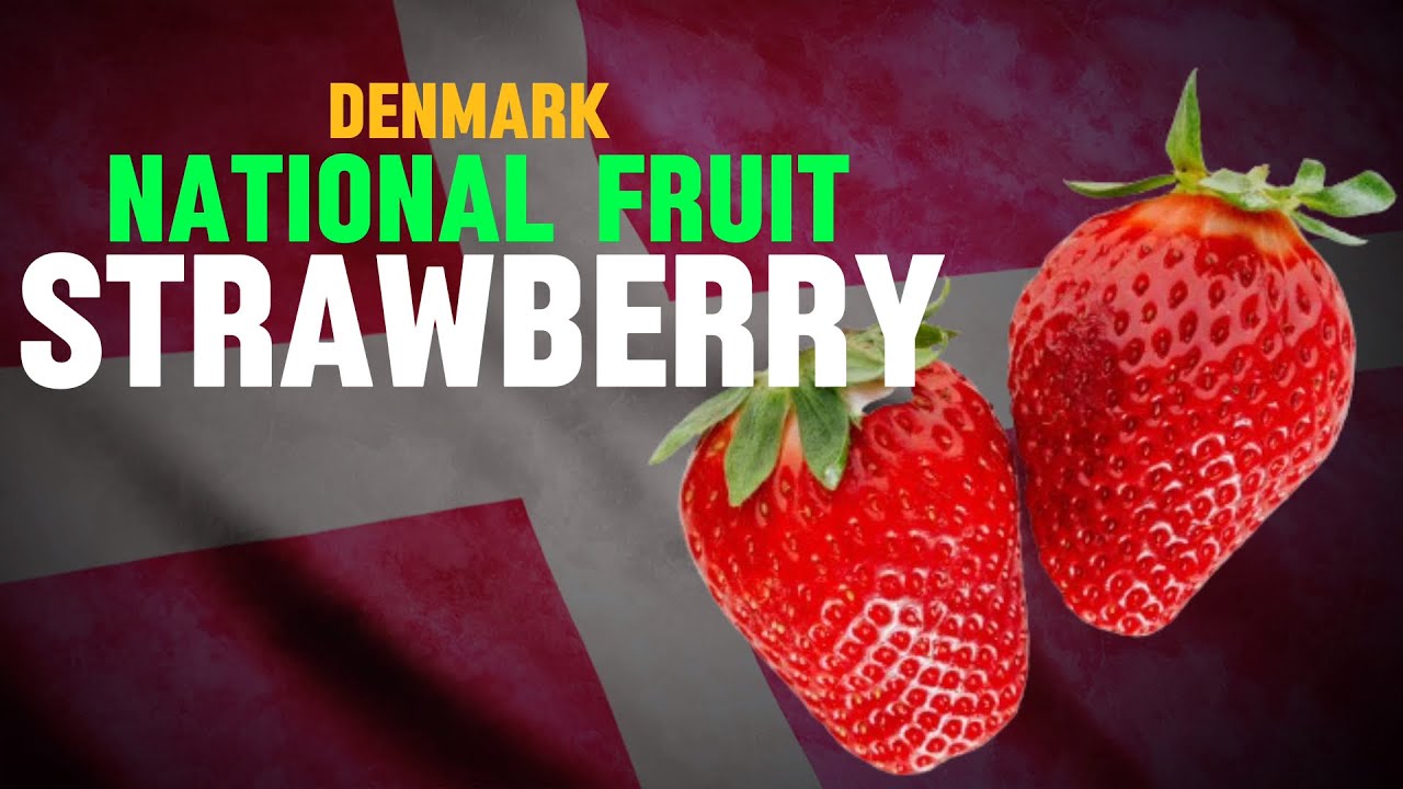 What is the national fruit of Denmark? | Interesting Facts - YouTube