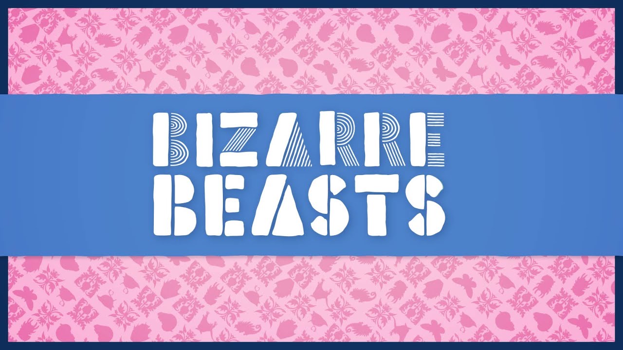 Bizarre Beasts - YouTube