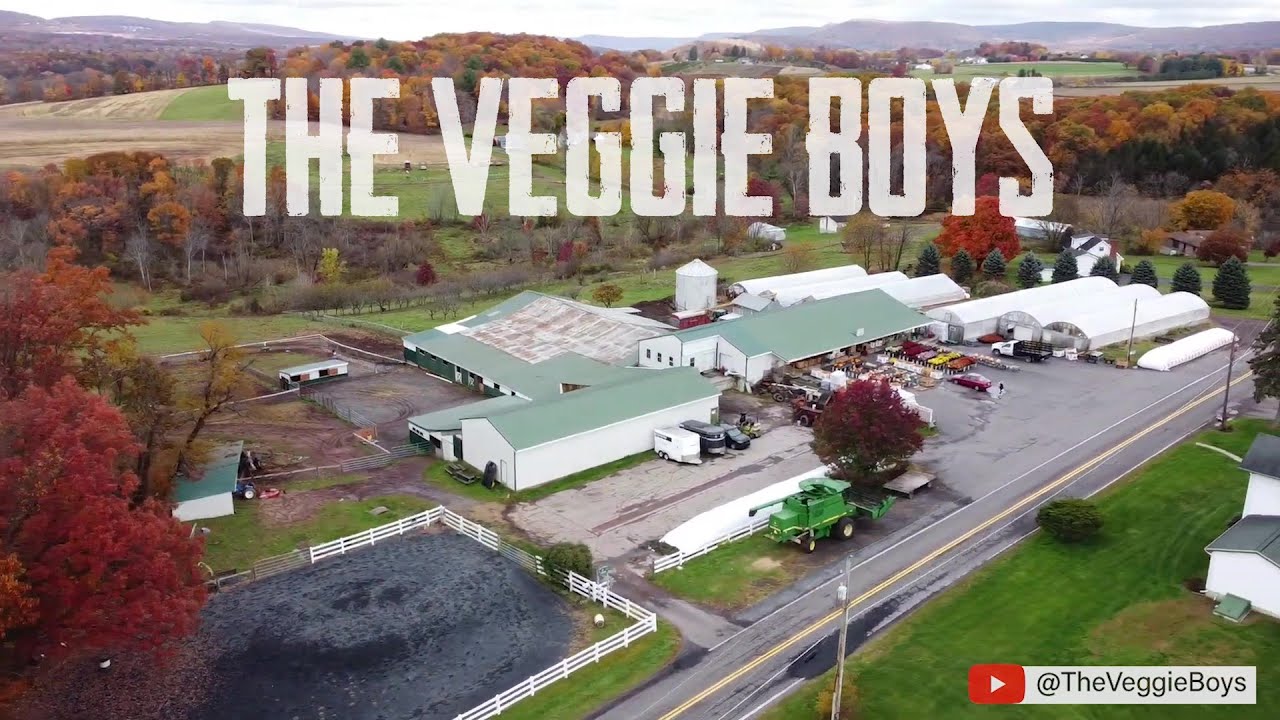 The Veggie Boys Documentary - YouTube