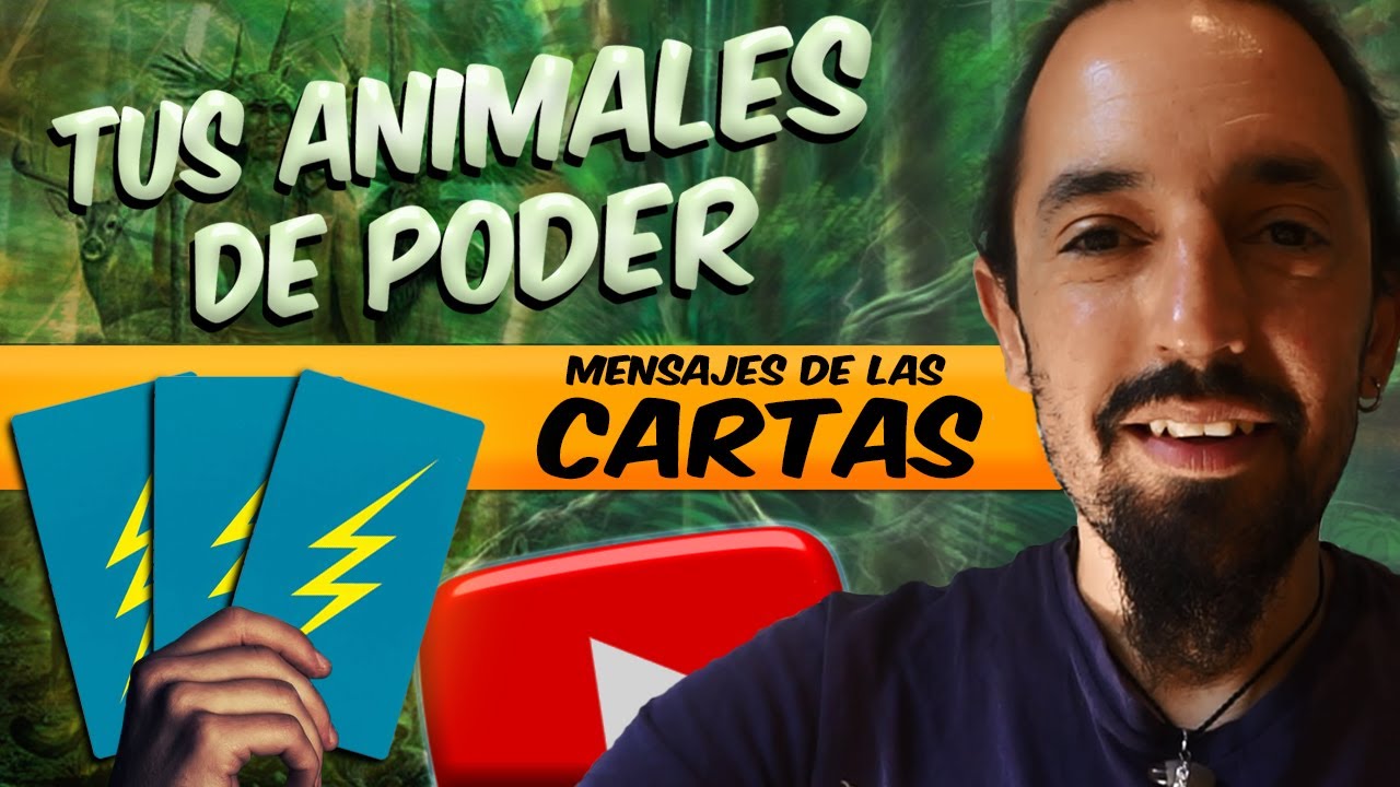 Los Mensajes de LAS CARTAS | Tus Animales de Poder / El Camino - YouTube