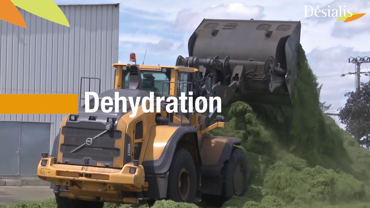 RUMIPLUS - dehydrated pellets and long chopped alfalfa in bales - YouTube