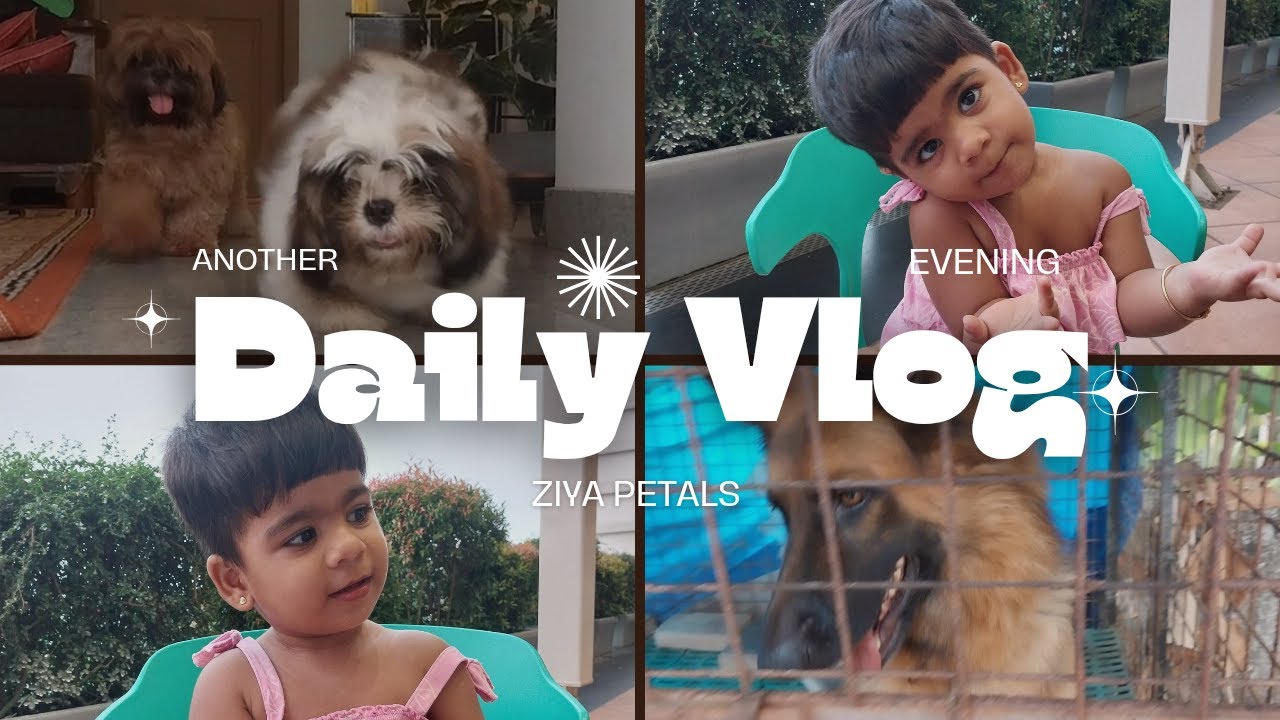 Zabiya's evening fun with friends 🥰| ZABIYA | #subscribe #ziyapetals # ...