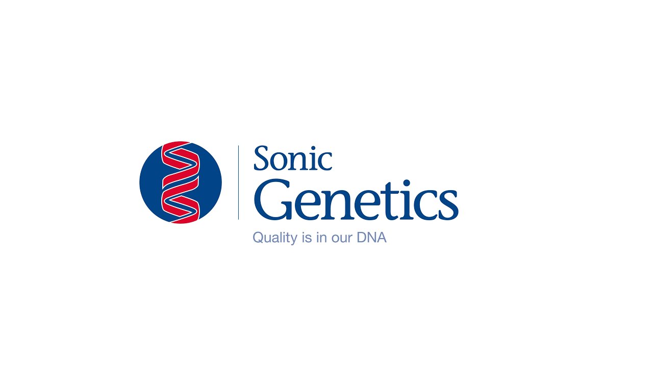 Welcome to Sonic Genetics - YouTube