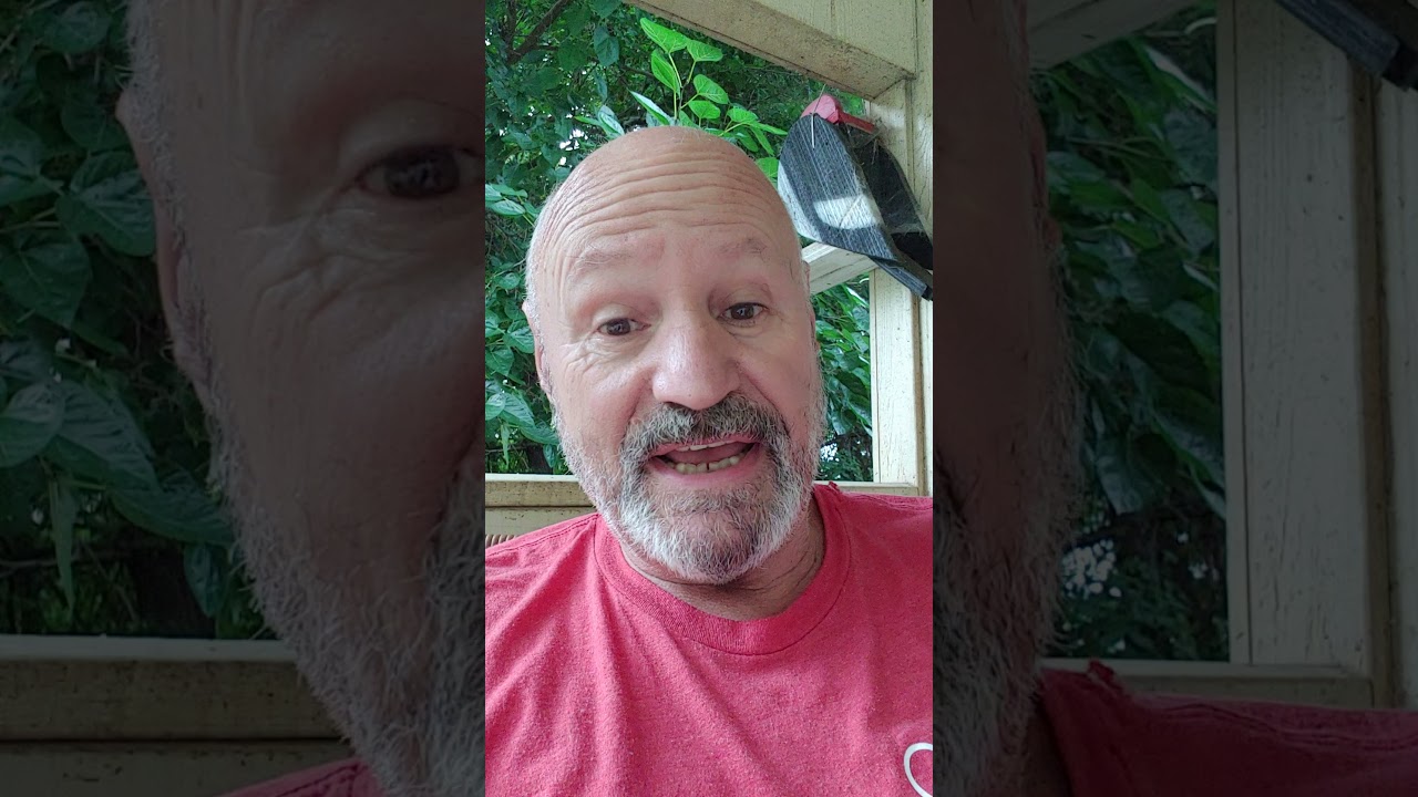Wild Weird And Wacky World Of The Word YouTube wild-weird-and-wacky-world-of-the-word-youtube