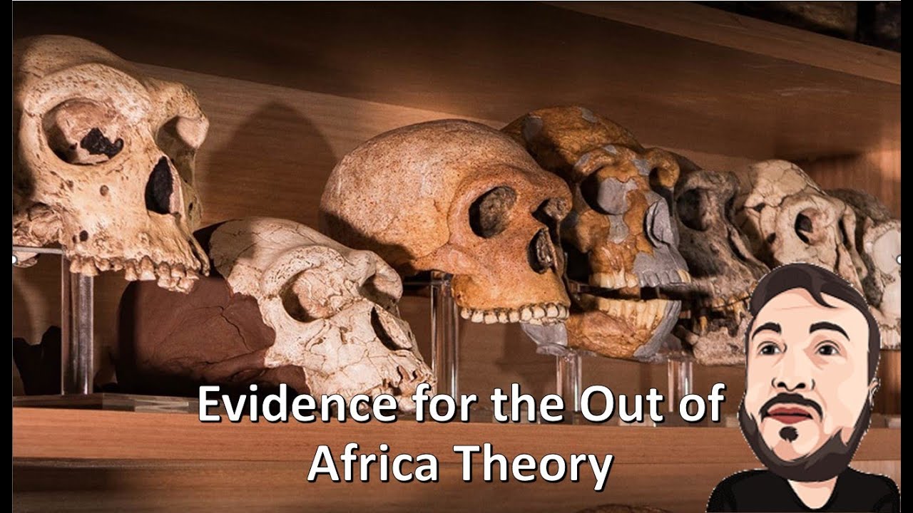 The Out of Africa Theory: Understanding the Evidence - YouTube