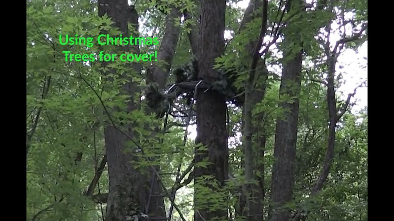 Vlog #12 Trail Cam Whoas and Using Artifical Christmas Trees!! - YouTube
