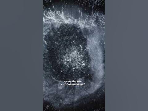 Любимая книга биолога? Михаил Гельфанд. Полное видео на канале ...