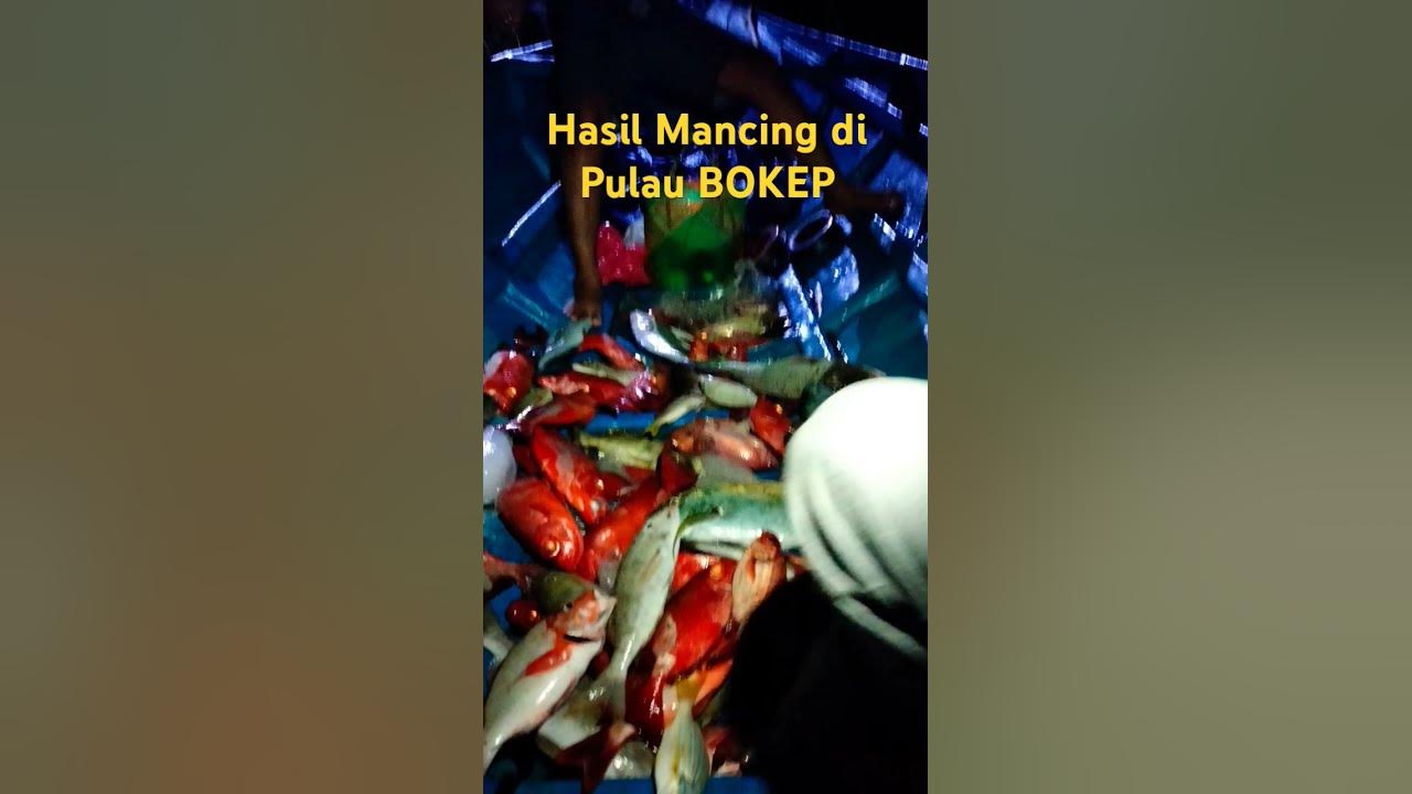 Hasil mancing di Pulau BOKEP - YouTube